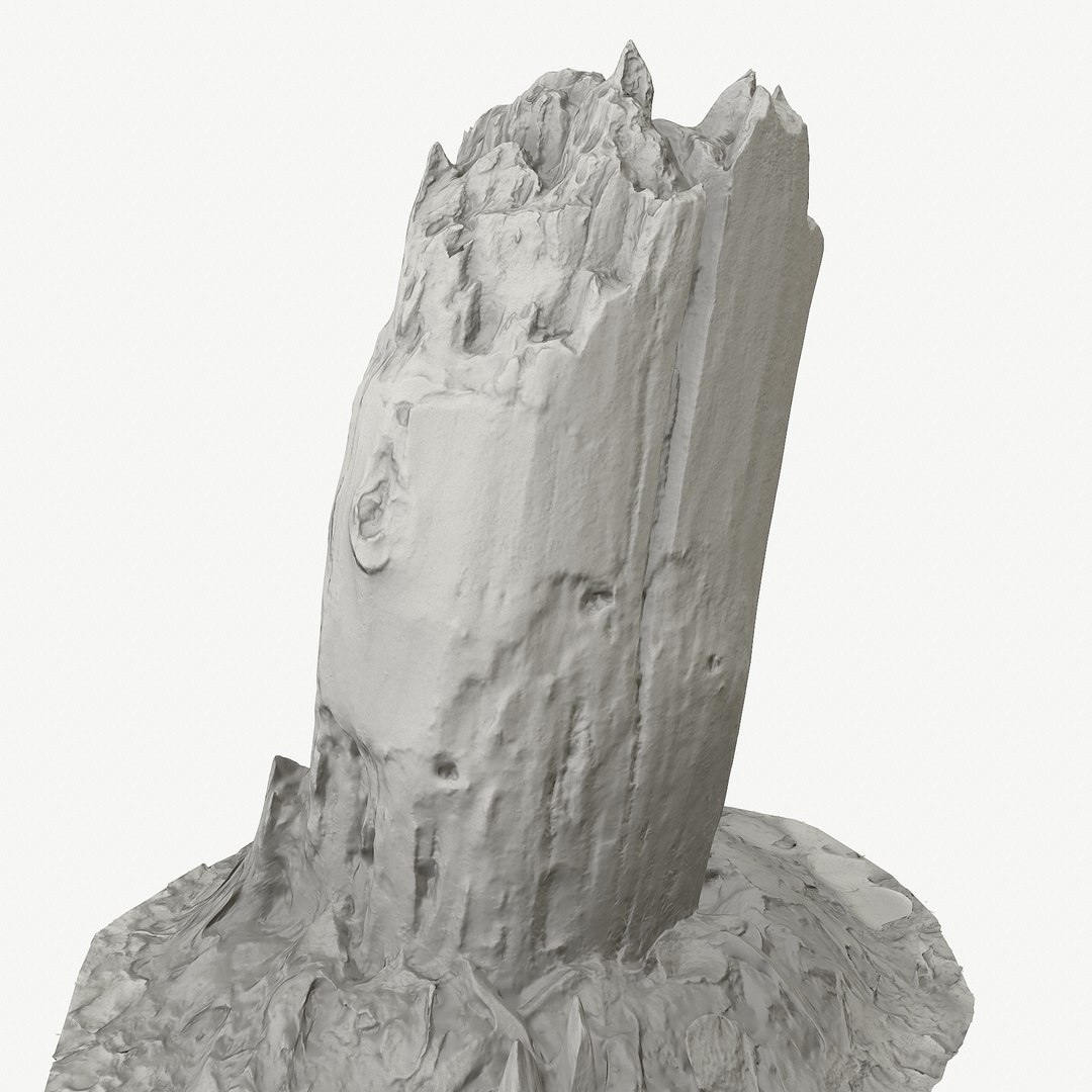 3D Scan Bpr Tree Stump Model - TurboSquid 1636812