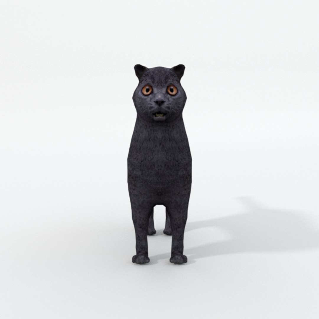 Cat 3D Model - TurboSquid 1334546