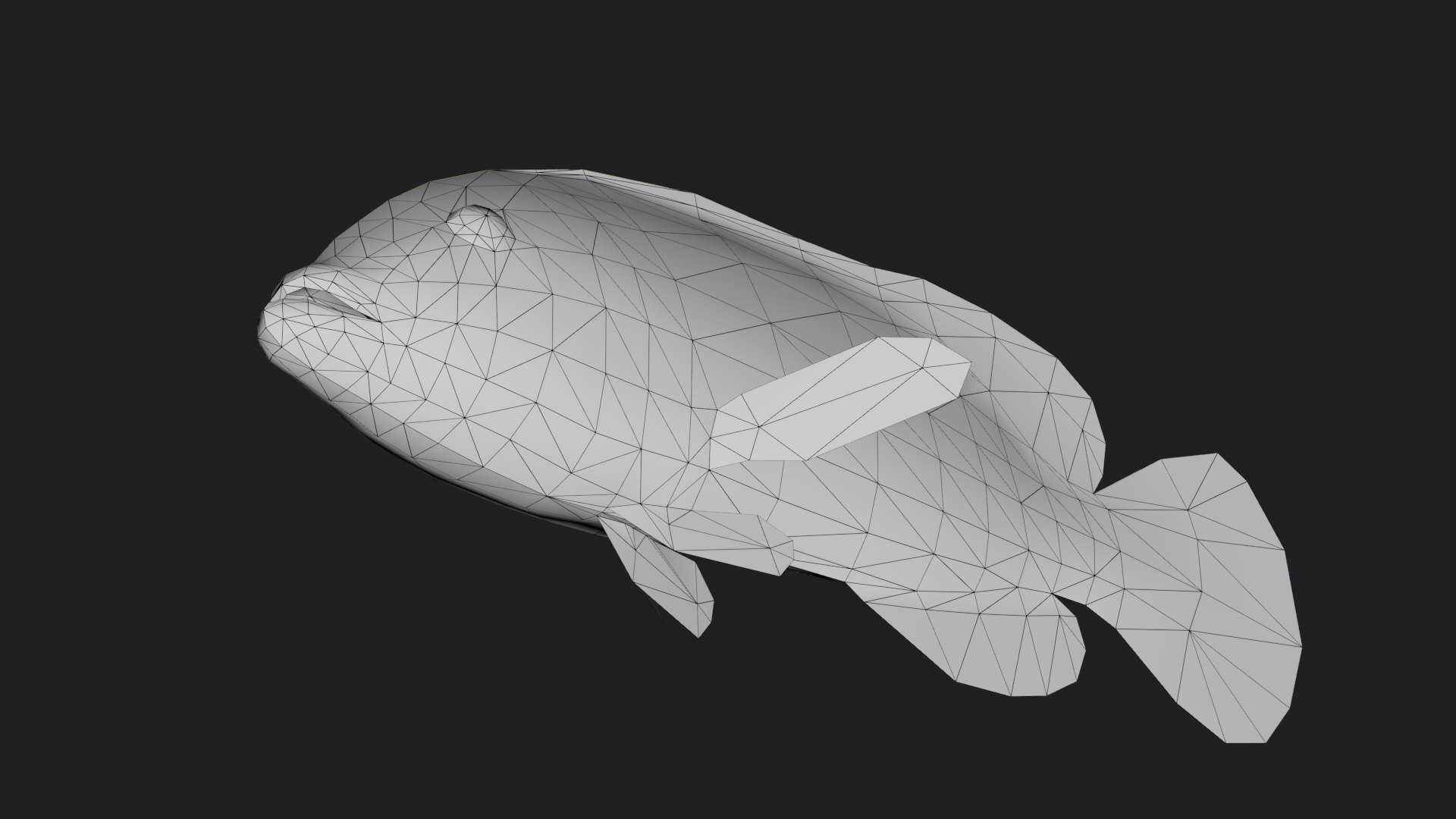 Grouper 3D Model - TurboSquid 2118885