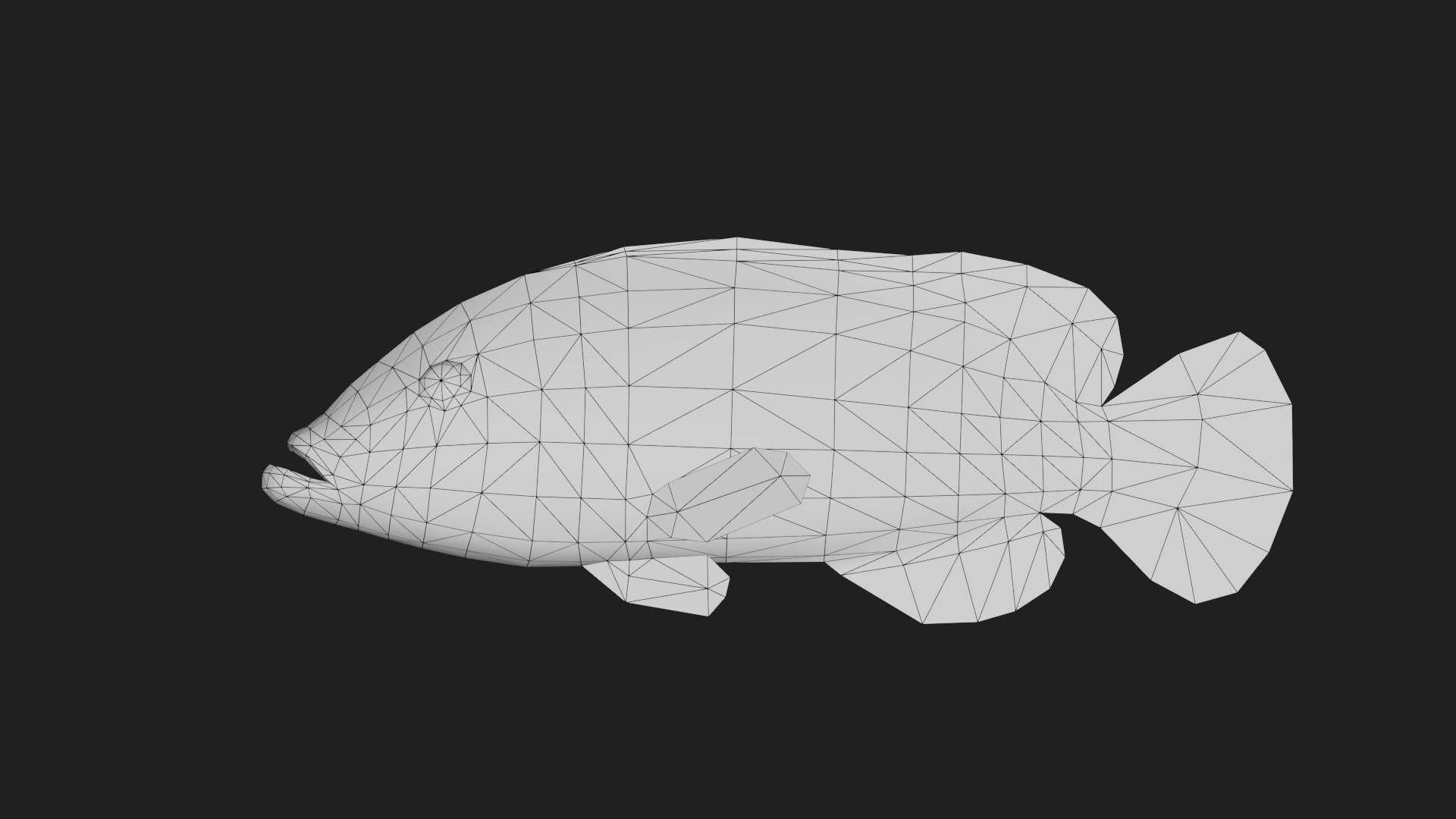 Grouper 3D Model - TurboSquid 2118885
