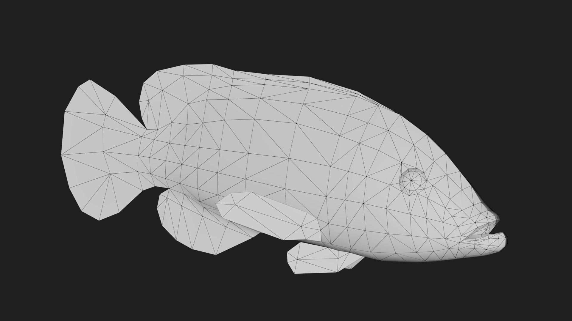 Grouper 3D Model - TurboSquid 2118885