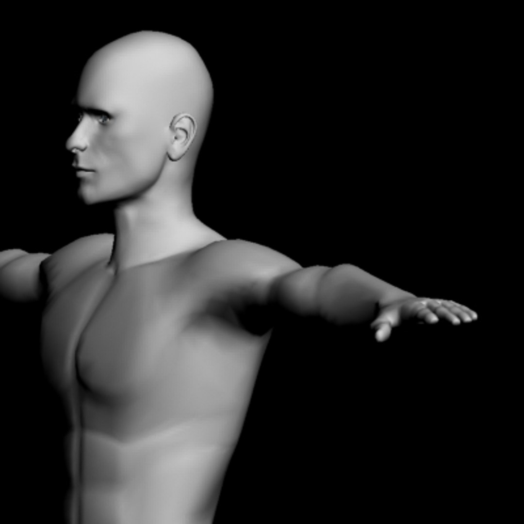 3ds Max Scene Male Rigged