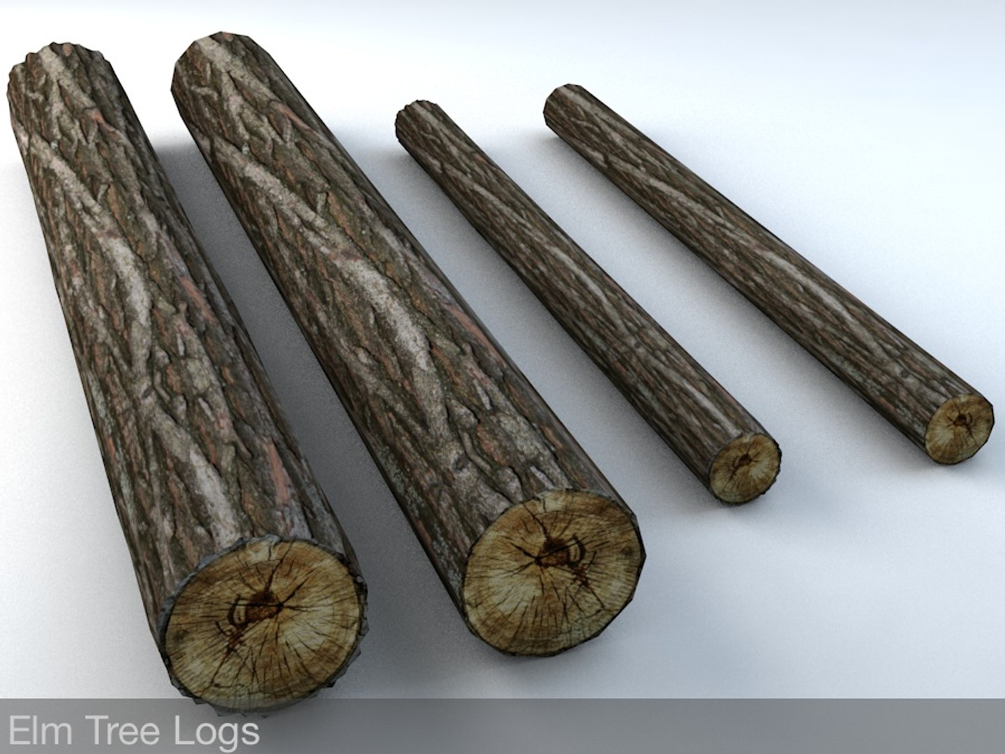 3d Elm Tree Wood Model