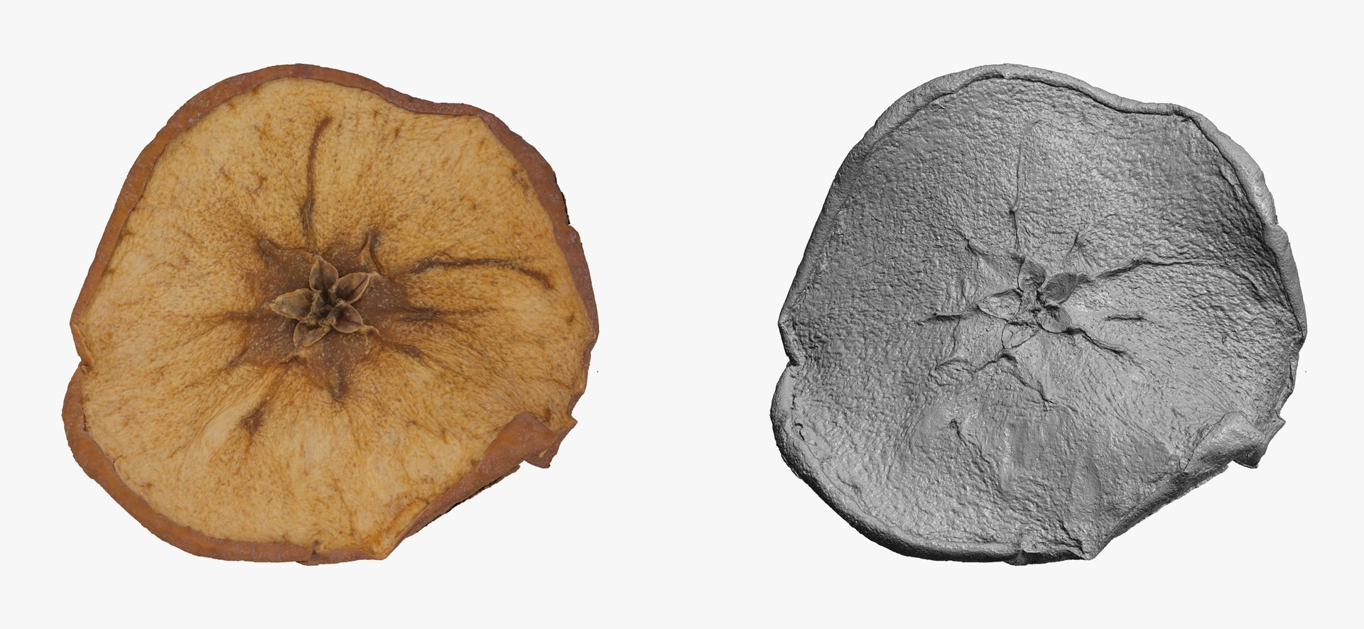 3D Dried Apple Slice 01 RAW Scan Model - TurboSquid 1957004