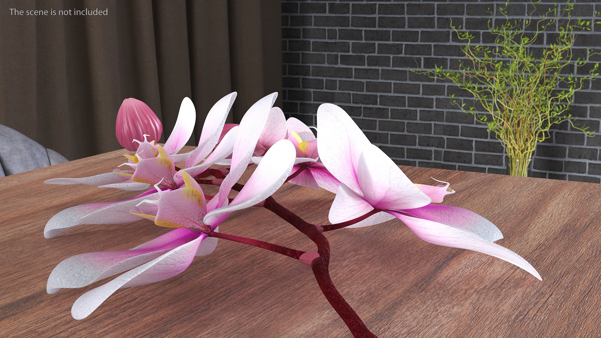 3D Small Orchid Stem Model - TurboSquid 2084399