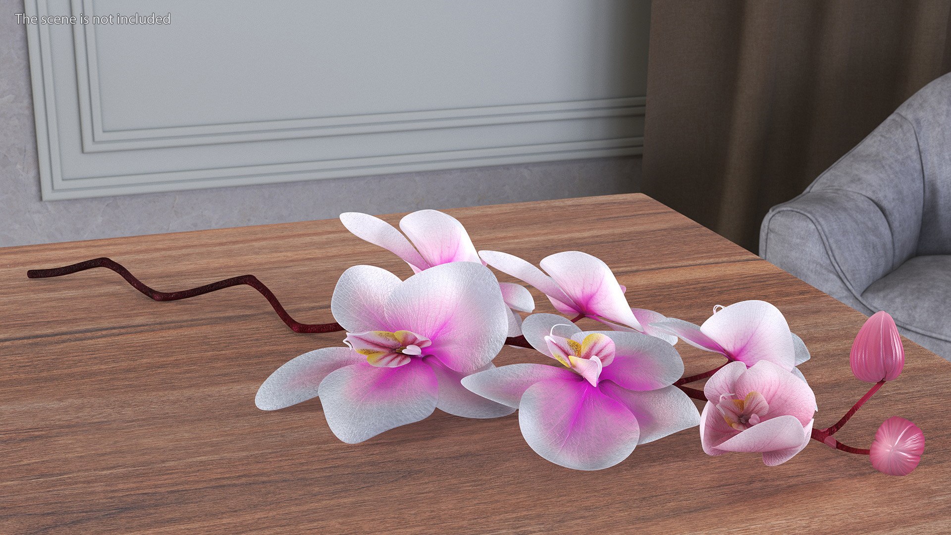 3D Small Orchid Stem Model - TurboSquid 2084399