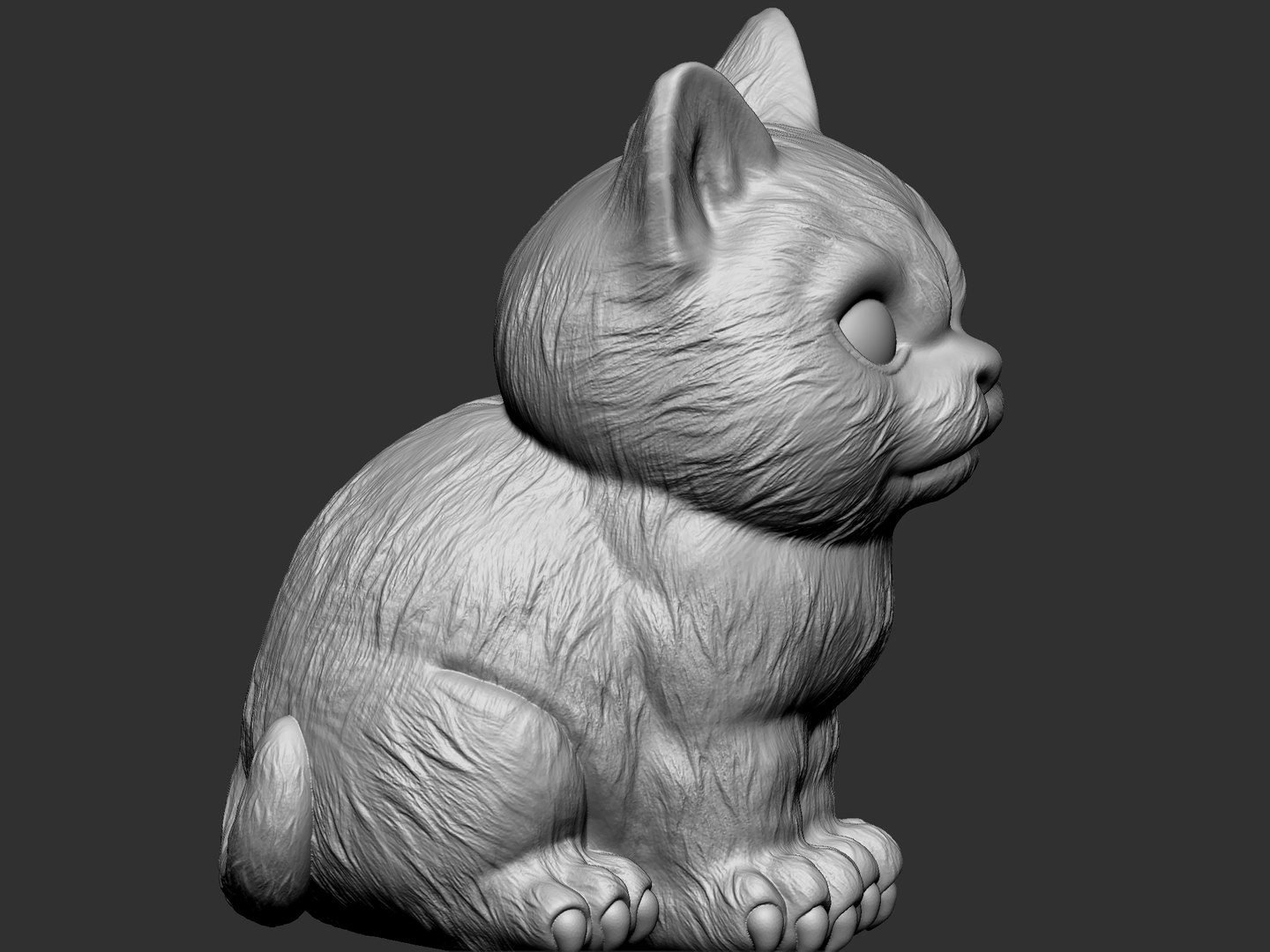 3D Cat - TurboSquid 2050455