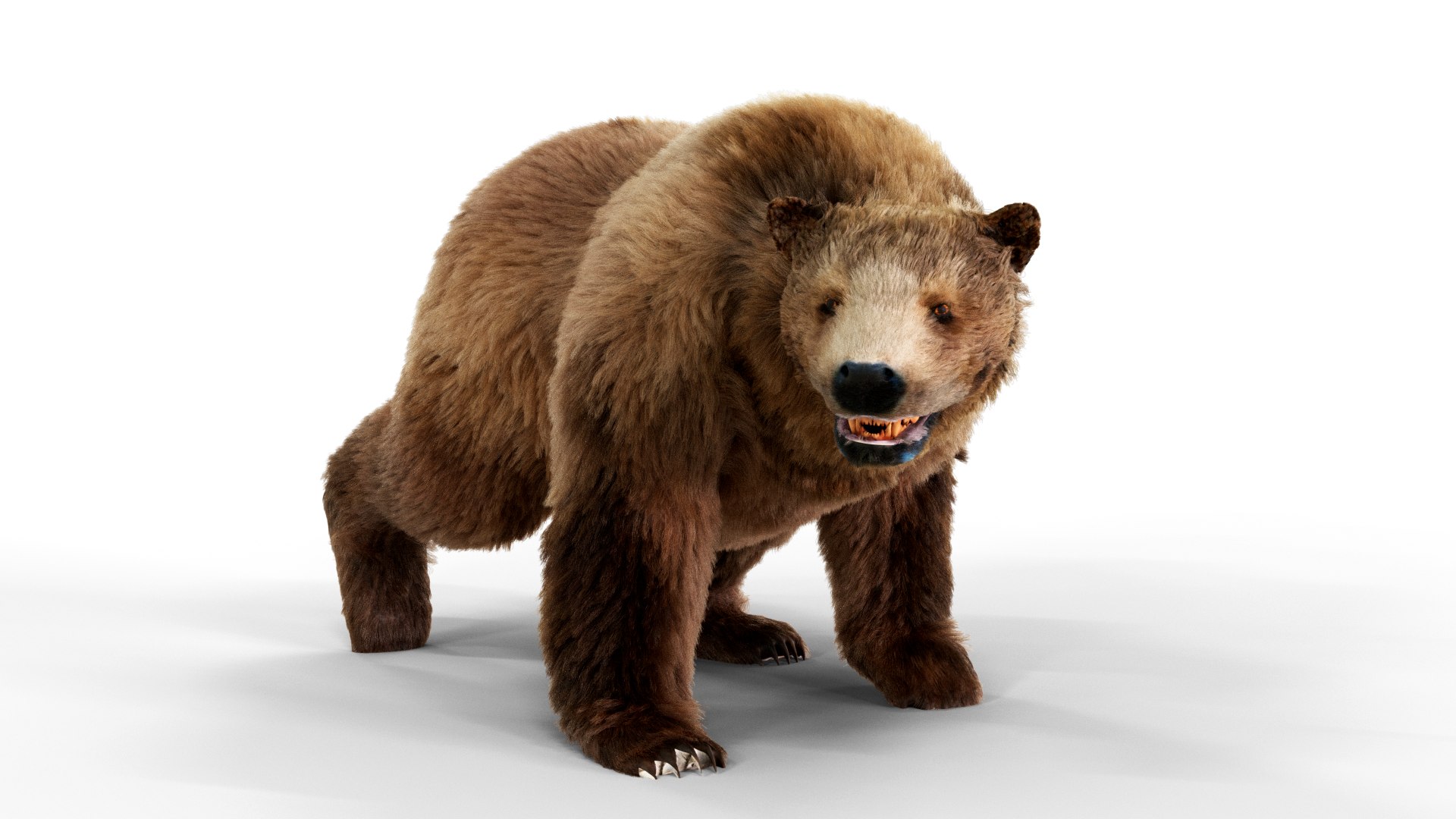 Black Brown Fur Animated 3D Model - TurboSquid 1718582