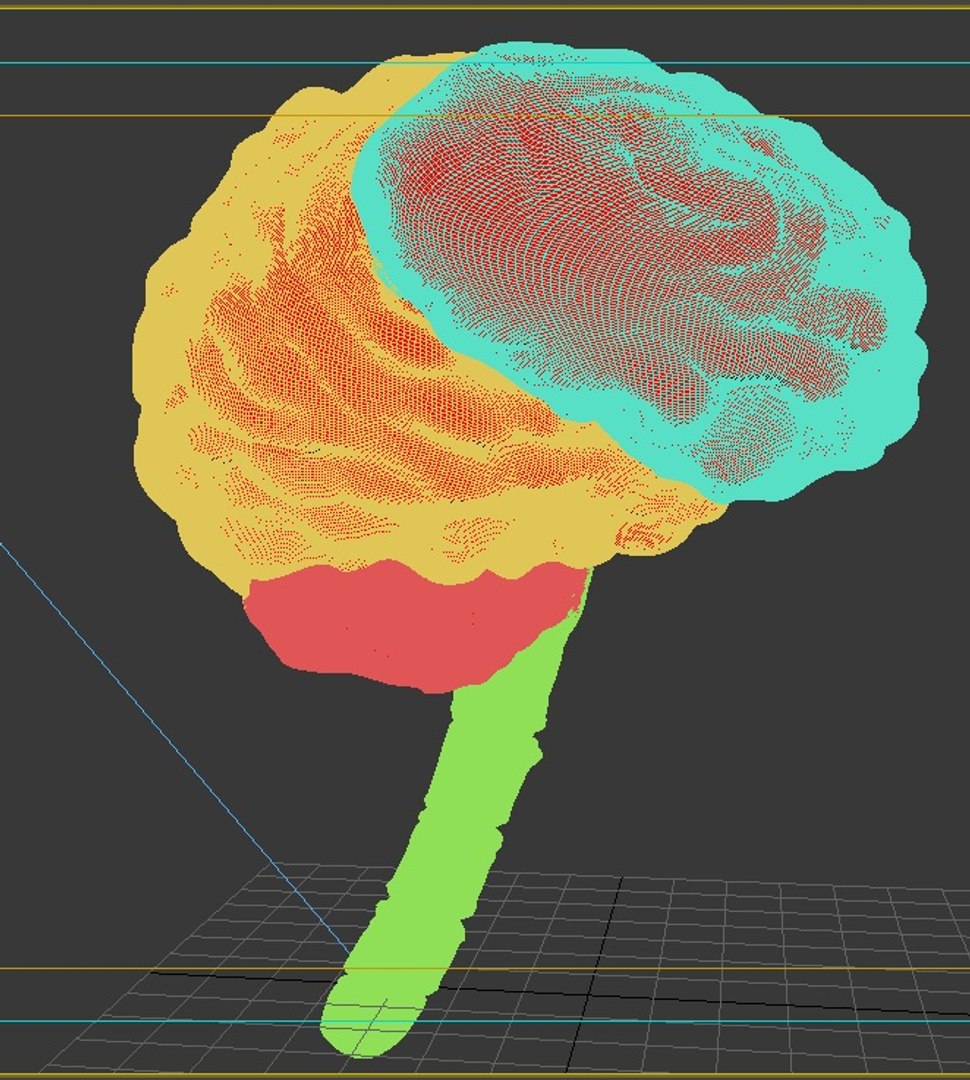 3d Resolution Brain Model