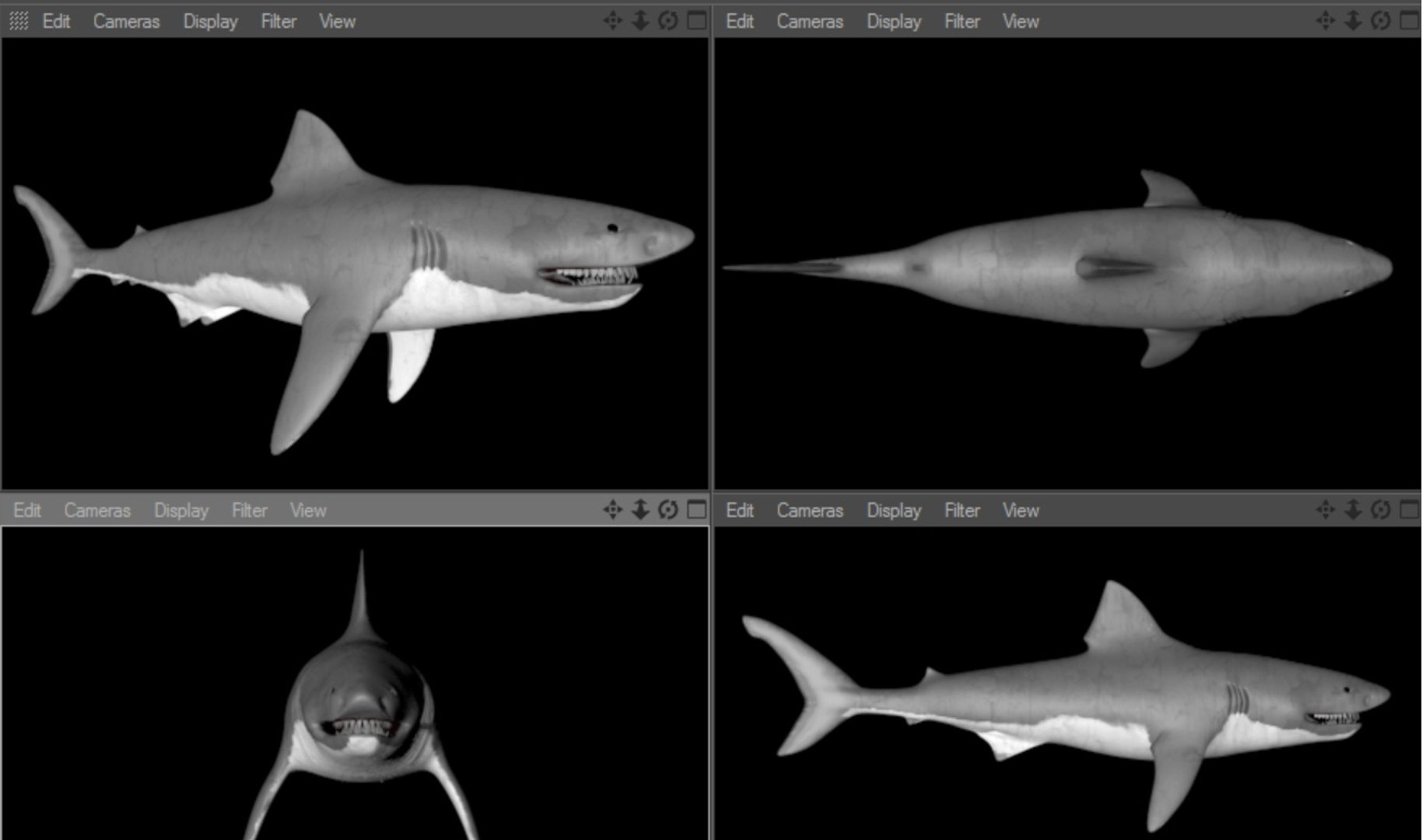 Shark 3d C4d
