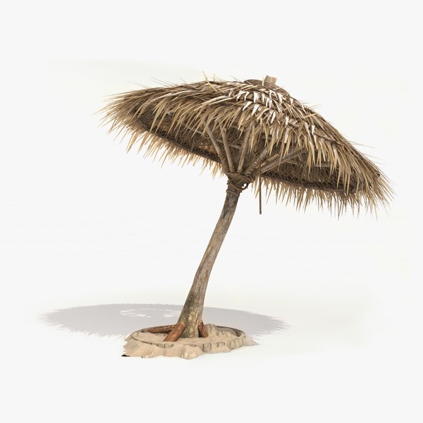 3D Thatch Models | TurboSquid