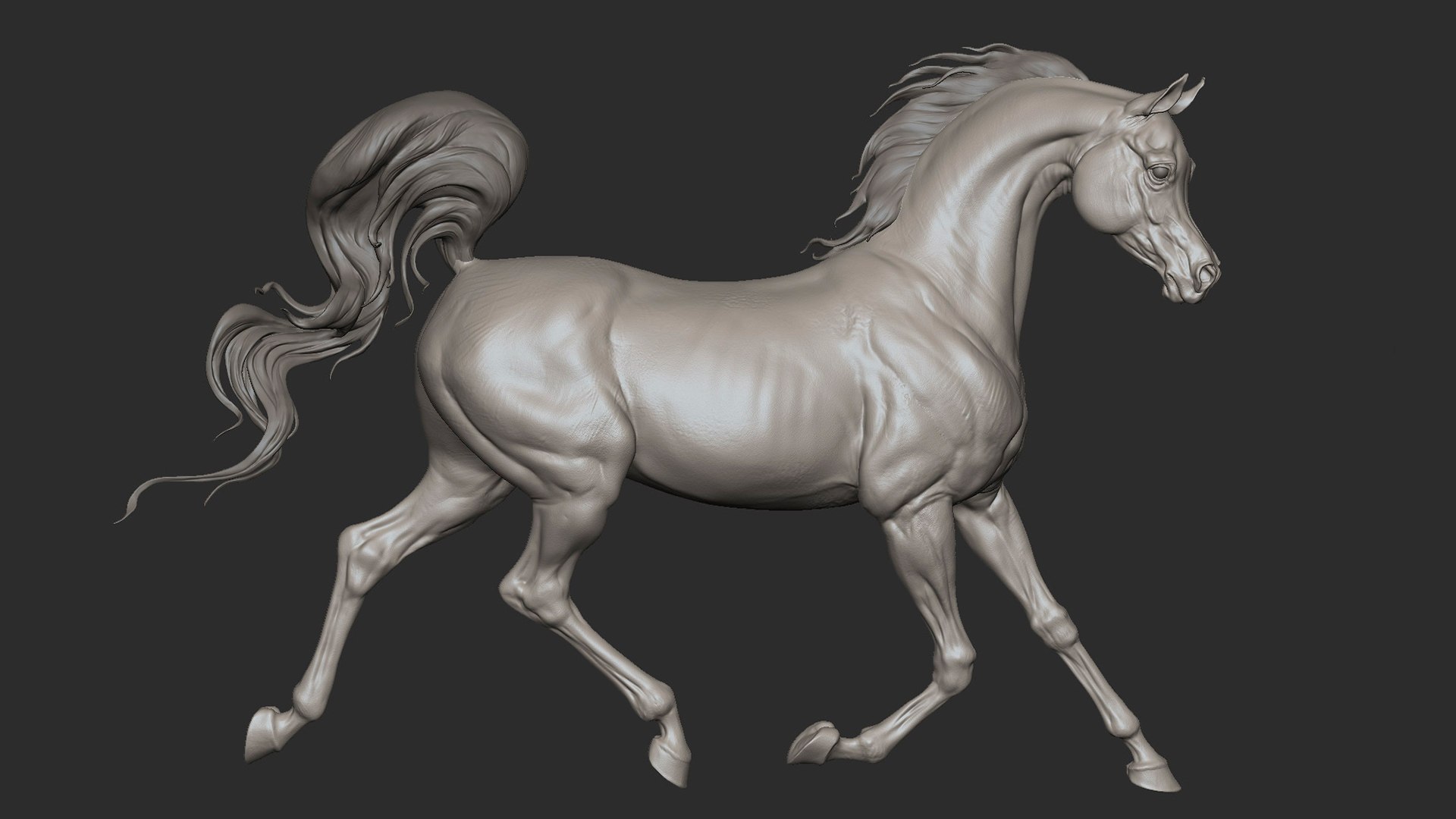 Arabian Horse - 3D Sculpting - High Poly Model - TurboSquid 2337070