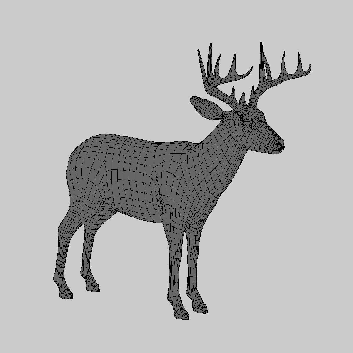 deer animation 3d model