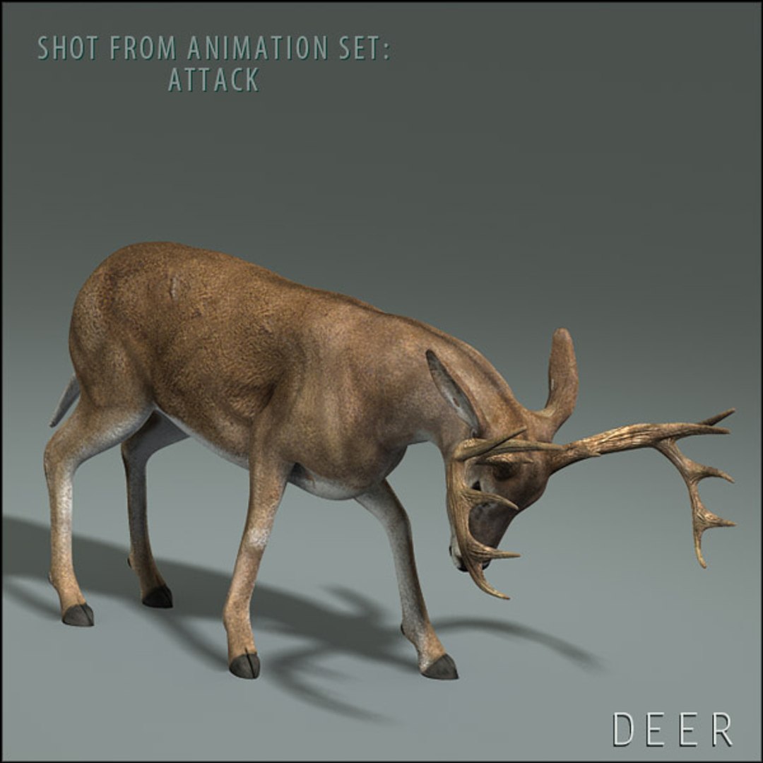 deer animation 3d model