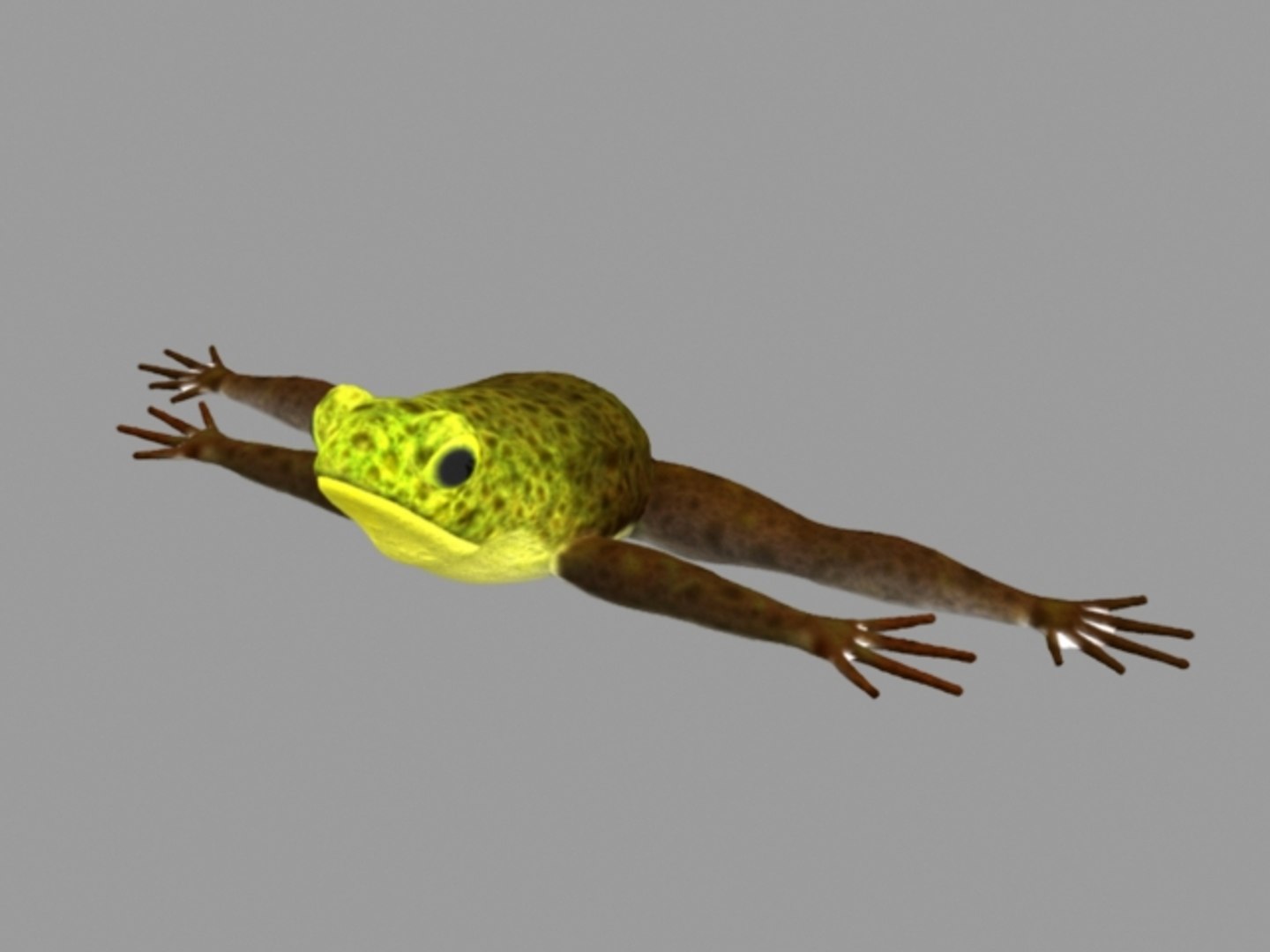 Toad rig frog 3D - TurboSquid 1395718