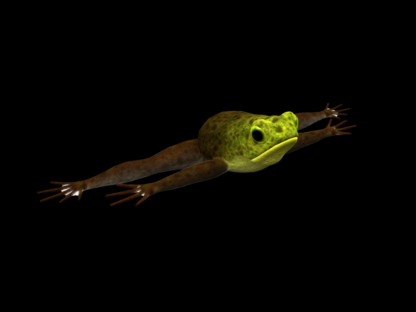 Toad Rig Frog 3D - TurboSquid 1395718
