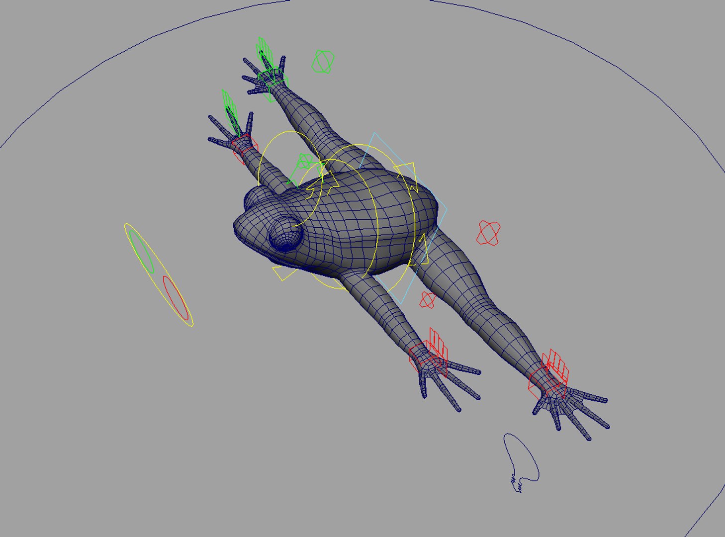 Toad Rig Frog 3D - TurboSquid 1395718