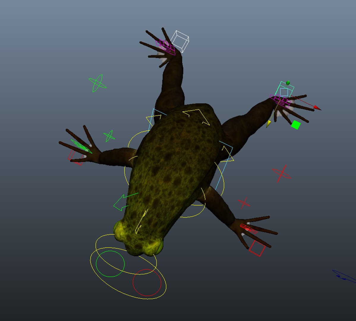 Toad rig frog 3D - TurboSquid 1395718