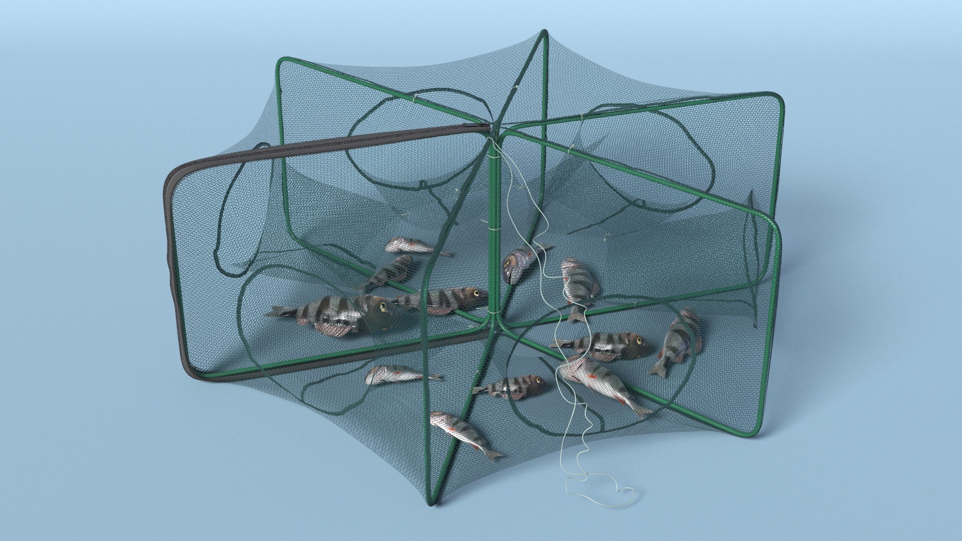 Automatic Pop-Up Fishing Trap And Captured Fish 3D Model - TurboSquid ...