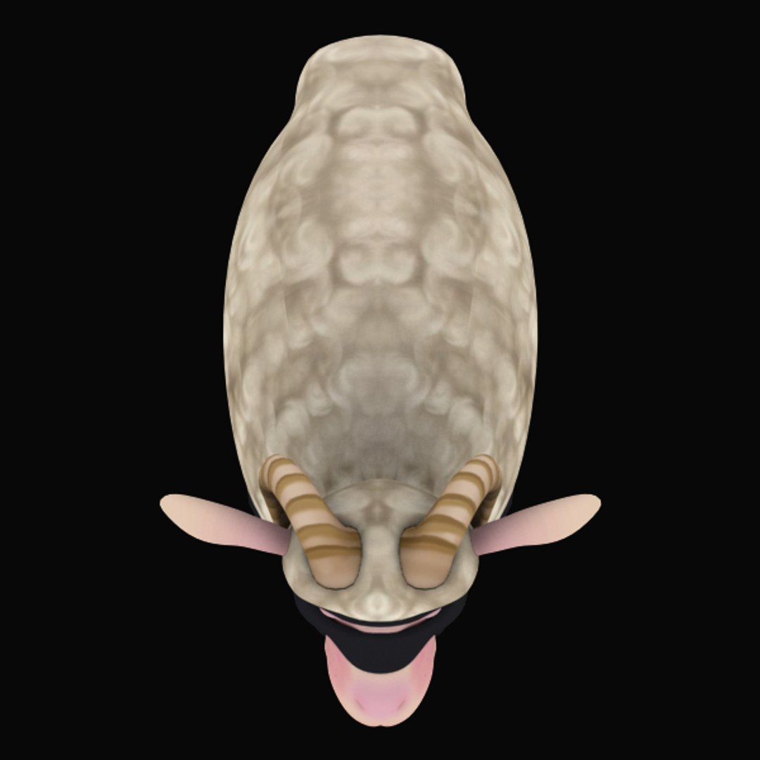 3d Ninja Sheep Model