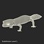 3d Rigged Lizards Chameleon Iguana