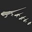 3d Rigged Lizards Chameleon Iguana