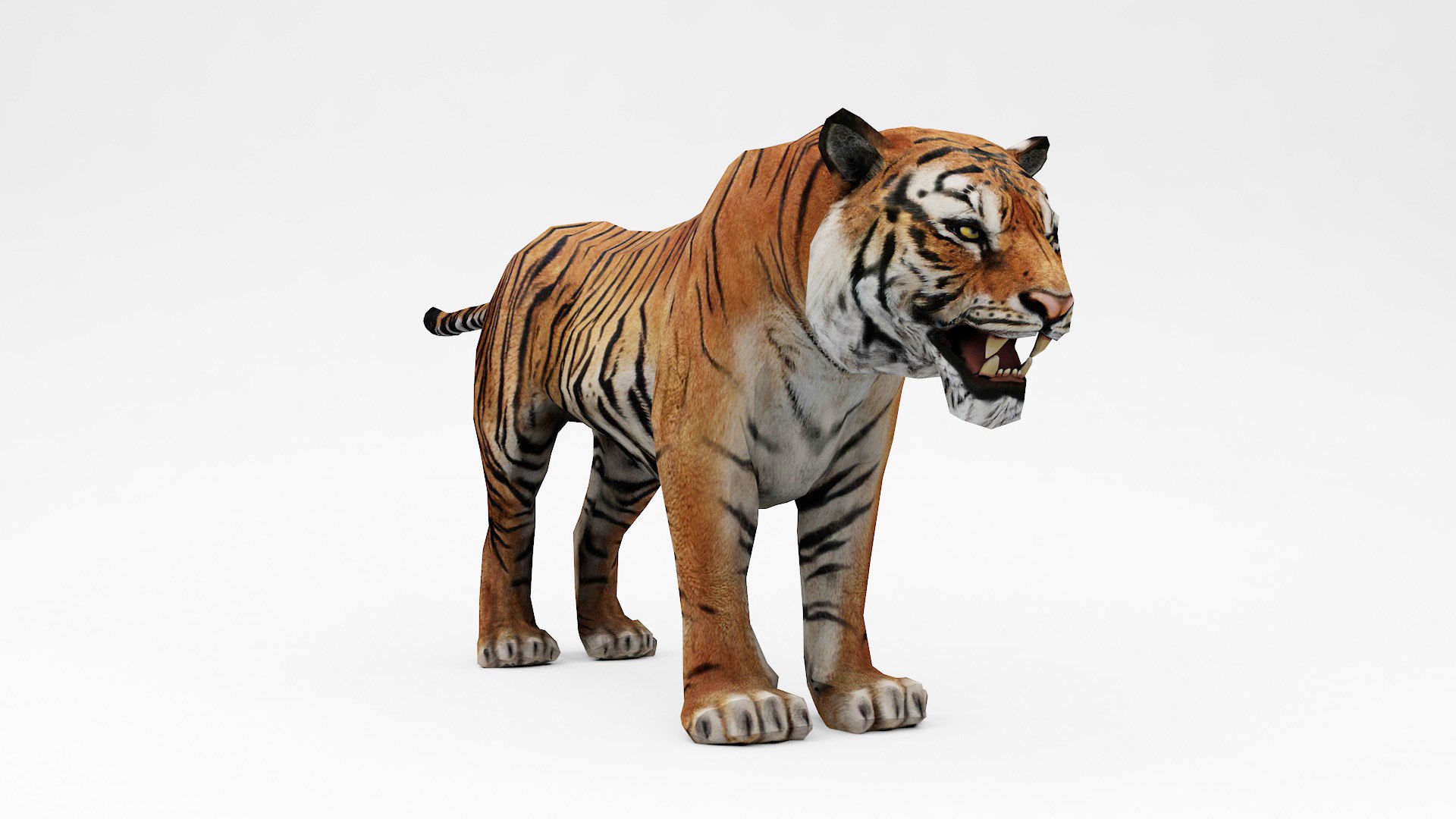 Tiger Low Poly 3D Model - TurboSquid 2034431