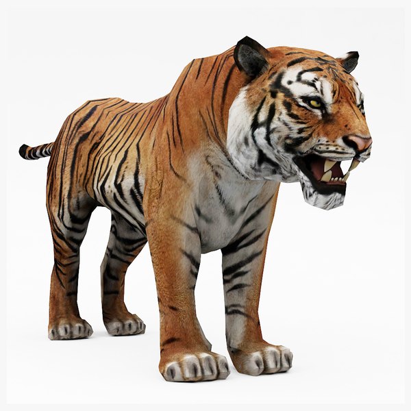 Tiger low poly 3D model - TurboSquid 2034431