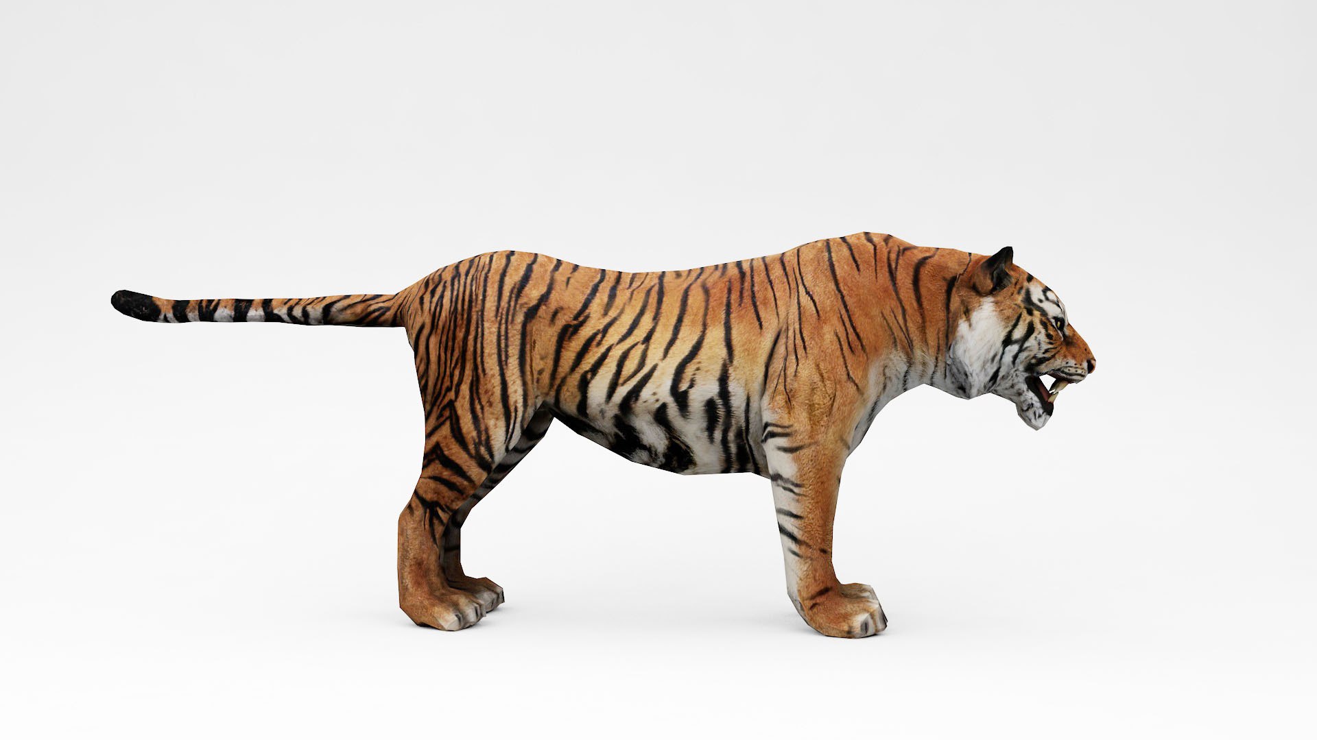 Tiger Low Poly 3D Model - TurboSquid 2034431