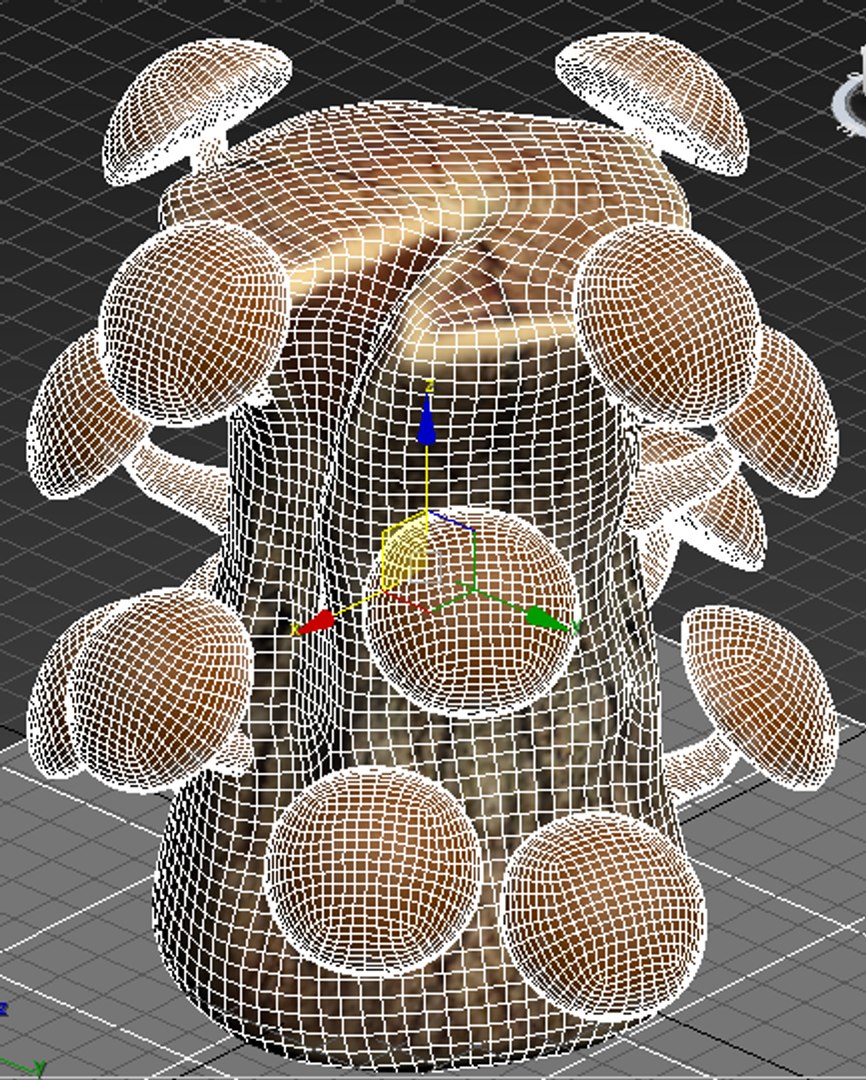 3D Shiitake High-poly Textured Model - TurboSquid 2345736