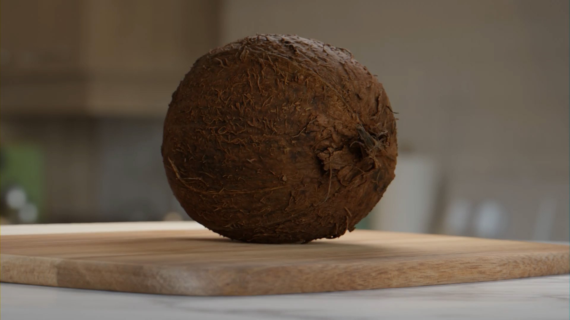 Coconut 3D Model - TurboSquid 2175819