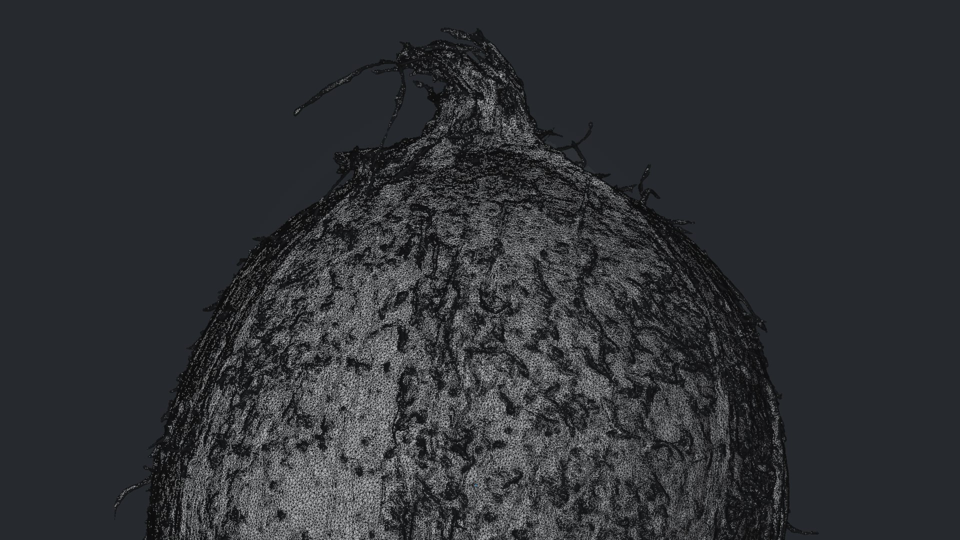Coconut 3D Model - TurboSquid 2175819