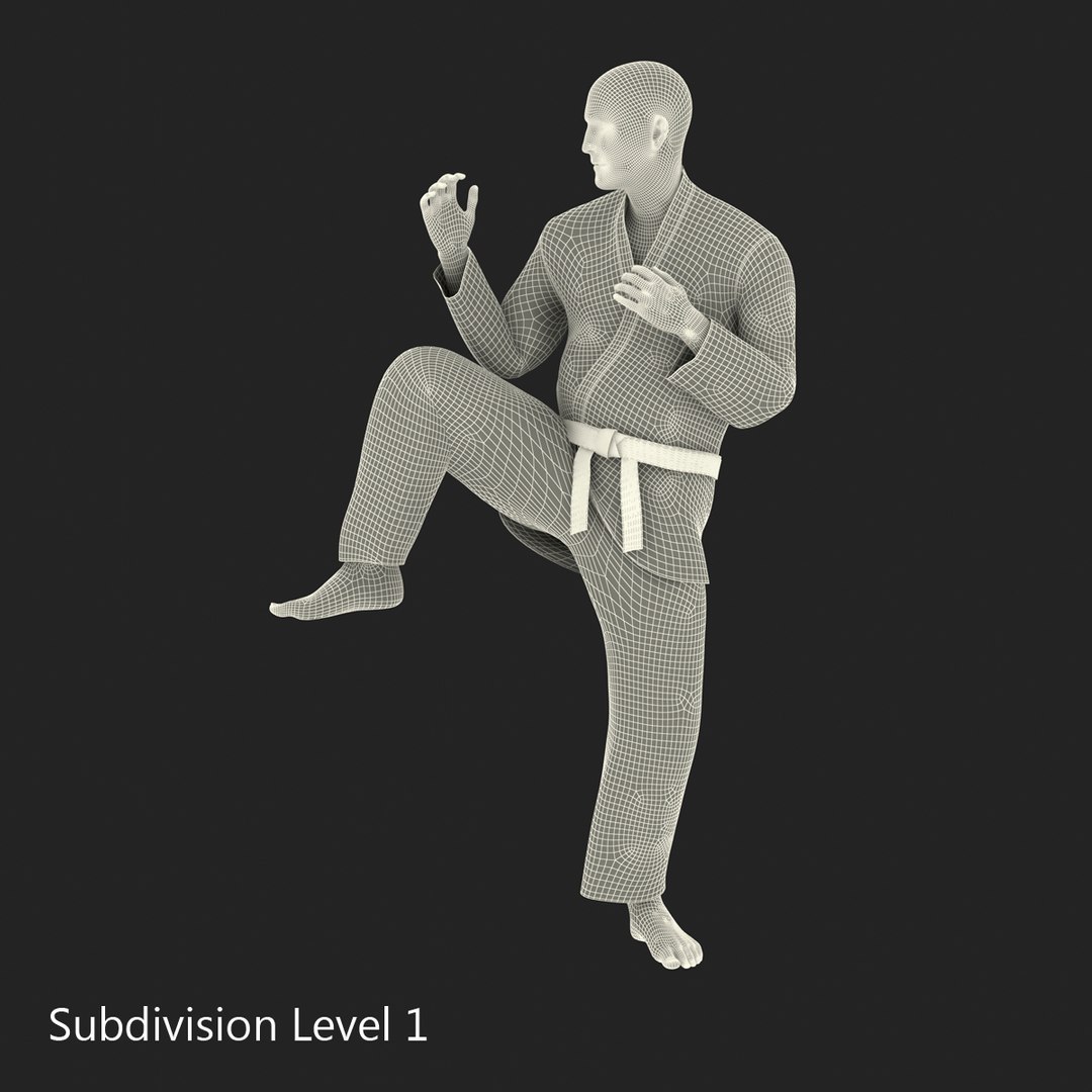 Karate Fighter Pose 3 3d Max