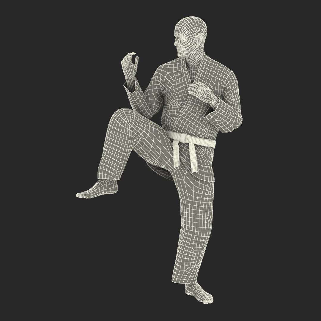 Karate Fighter Pose 3 3d Max