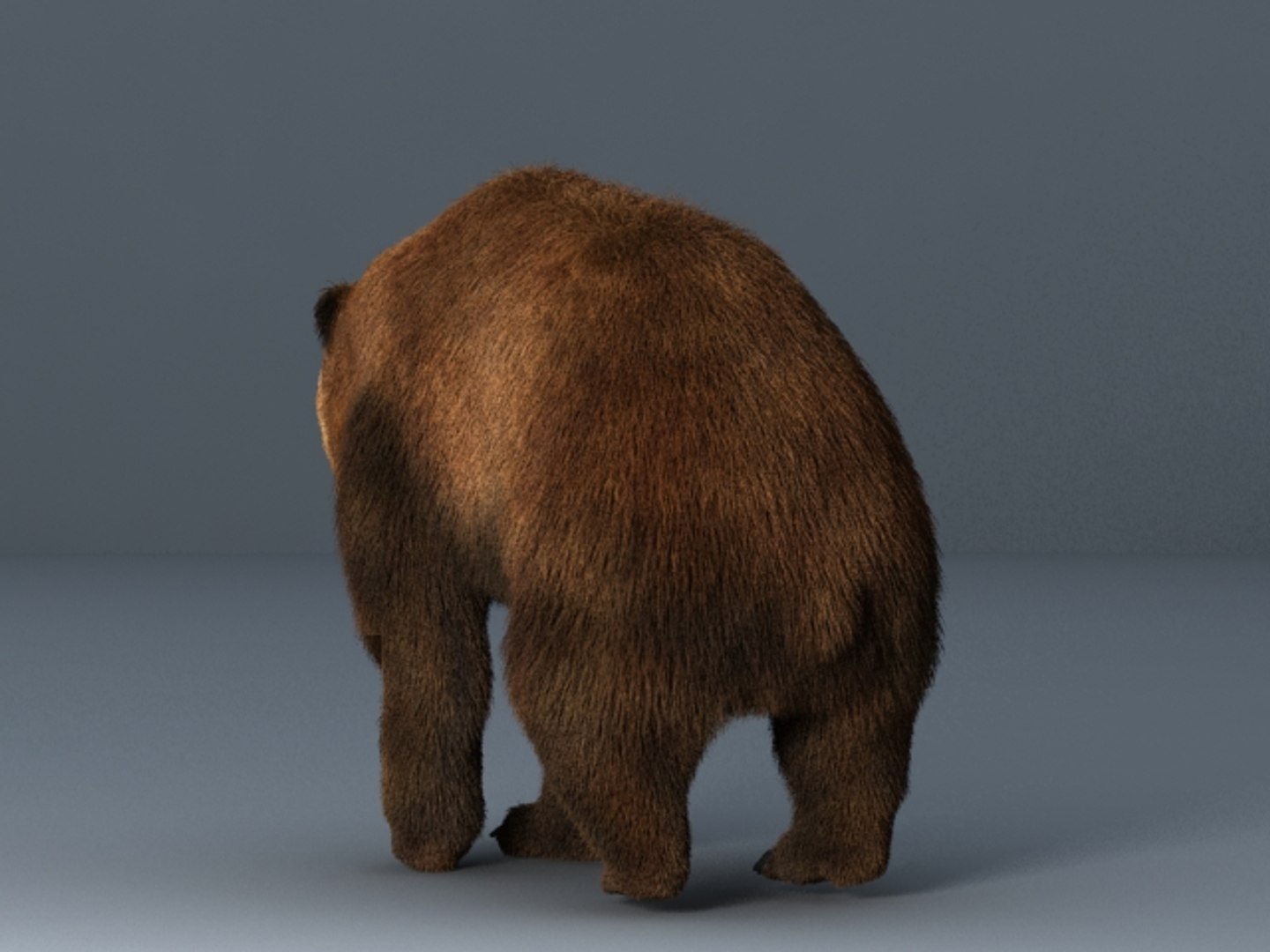 3ds Max Brown Bear
