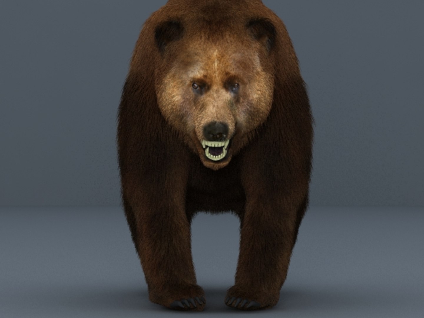 3ds Max Brown Bear