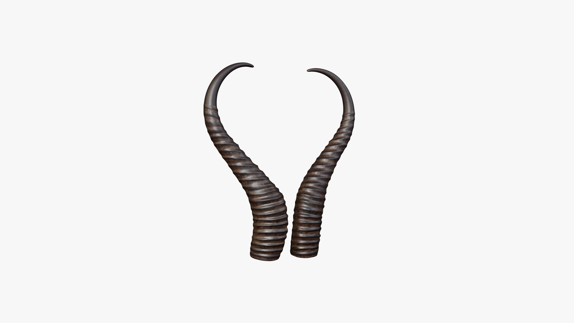 Horn V3 3D Model - TurboSquid 1743077