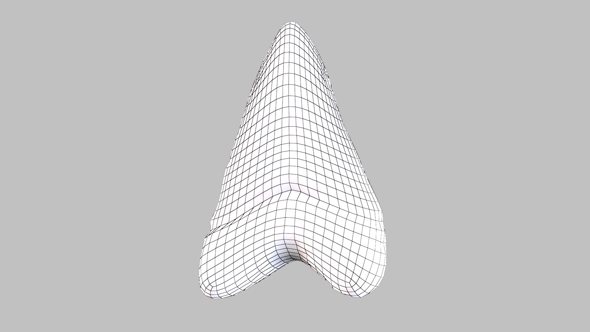 3D Megalodon Tooth With Three Stands And Wall Mount Model - TurboSquid ...