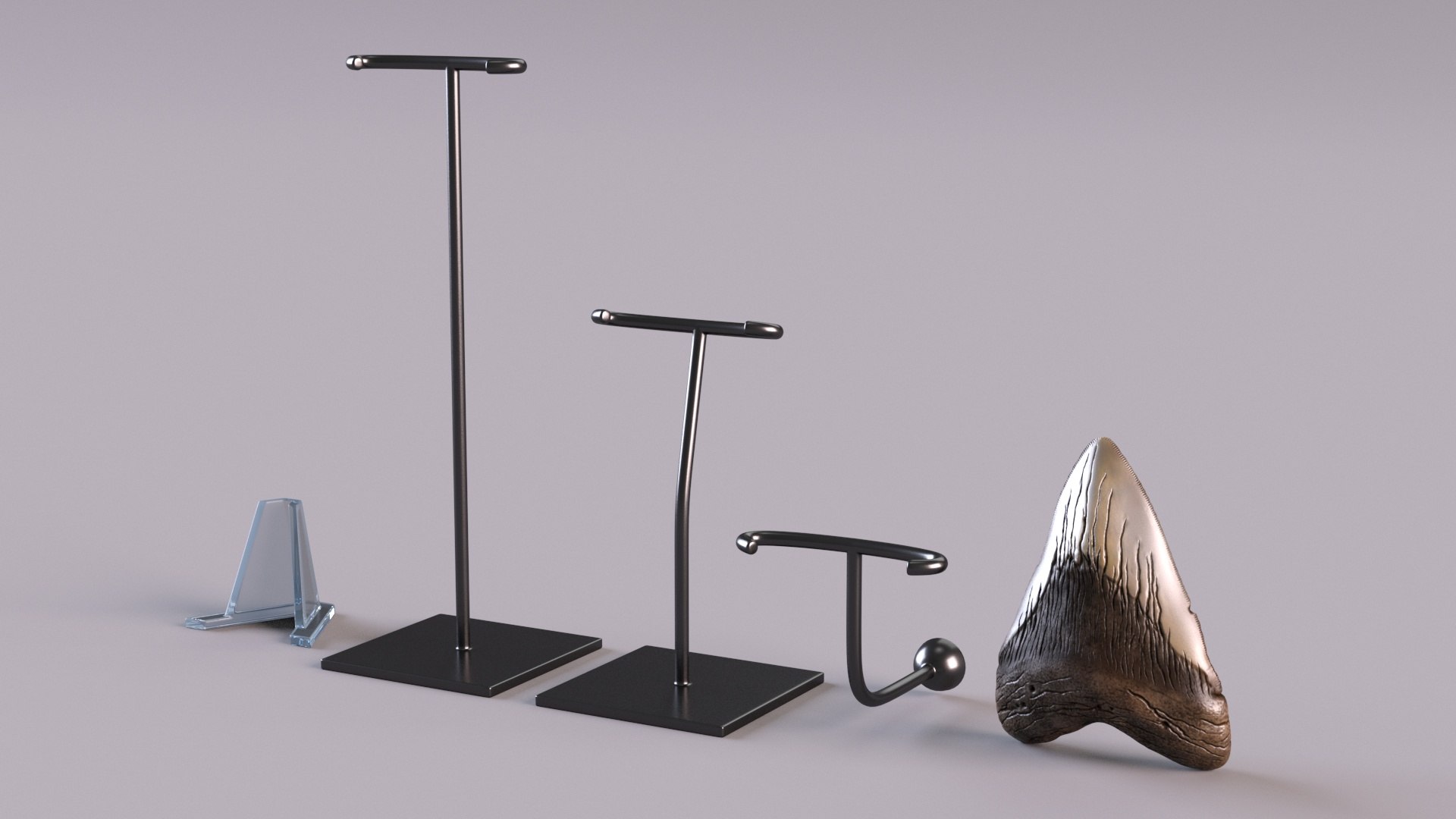 3D Megalodon Tooth With Three Stands And Wall Mount Model - TurboSquid ...