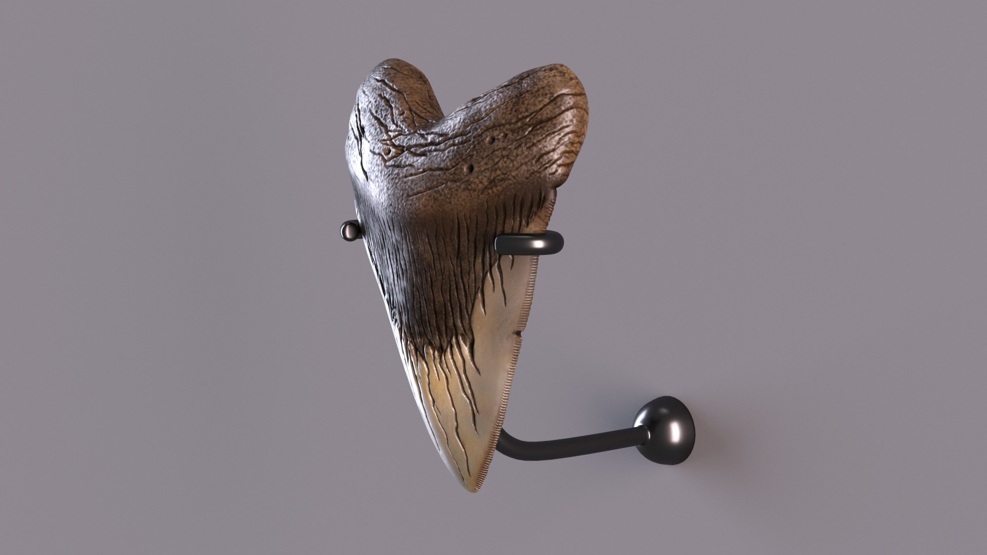 3D Megalodon Tooth With Three Stands And Wall Mount Model - TurboSquid ...