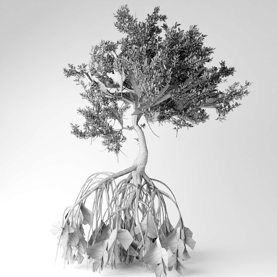 3D Mangrove Trees Model - TurboSquid 1518040