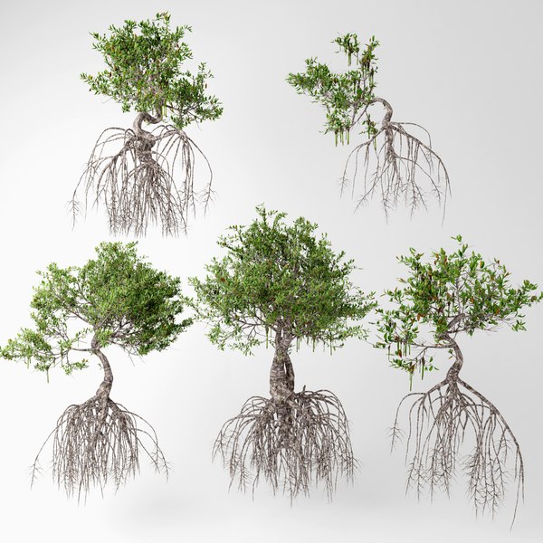 mangrove tree 3ds