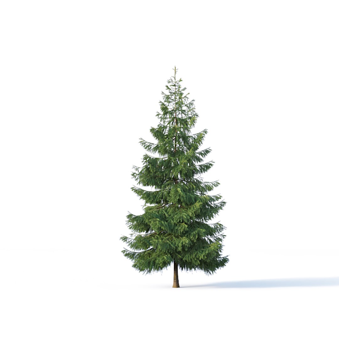 3D fir trees - TurboSquid 1376601