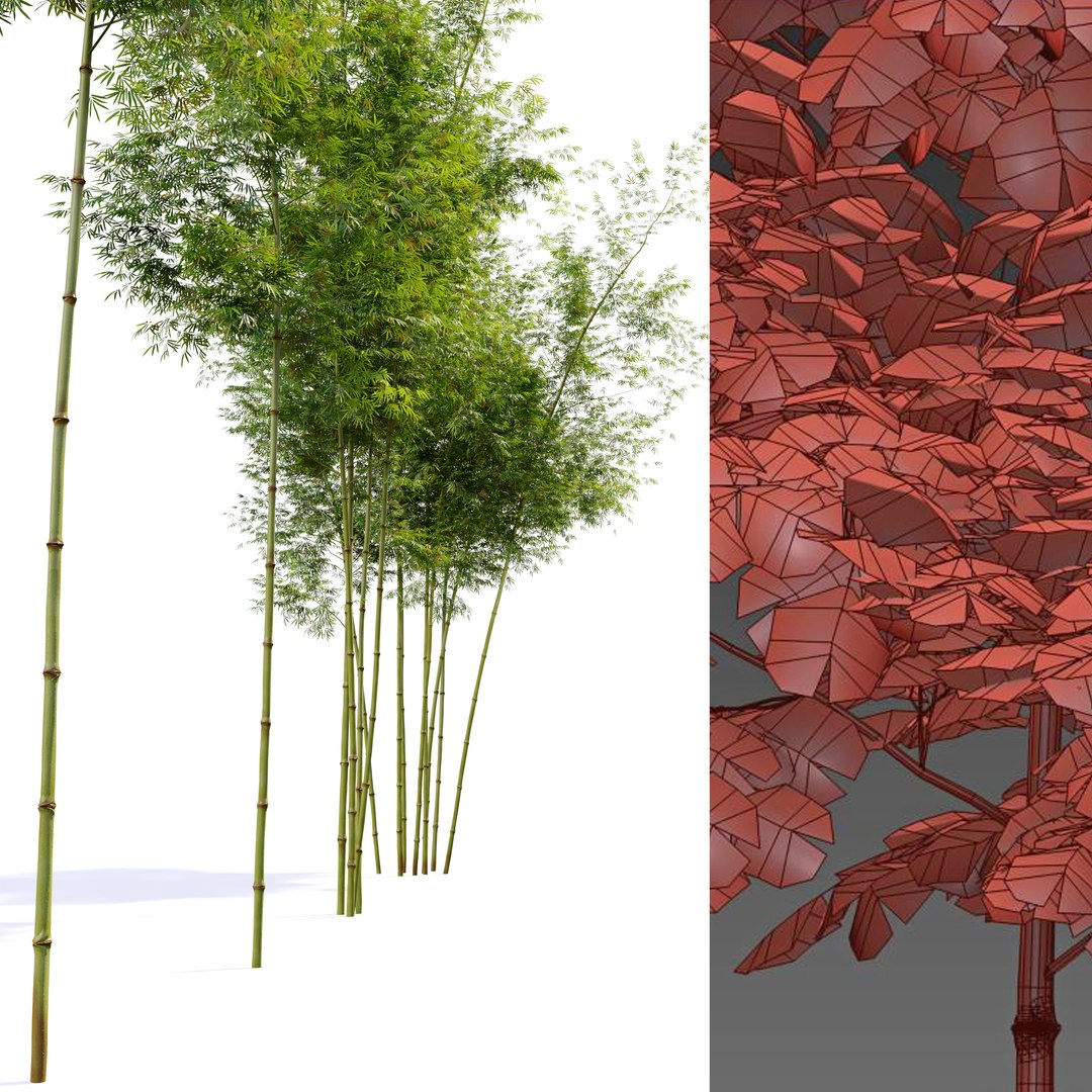 3D Model Four Bamboo Tree - TurboSquid 1949187