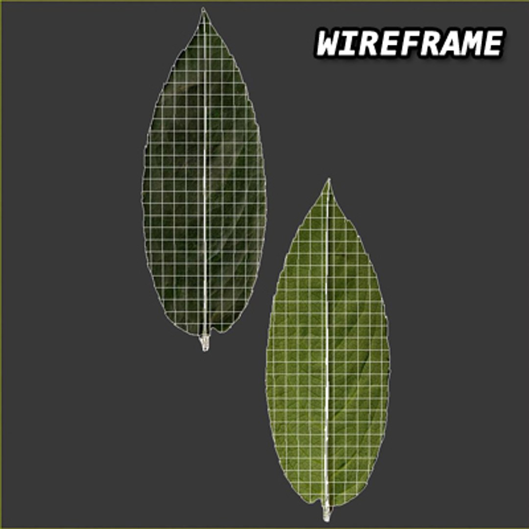 Resolution Leaves 3d Model