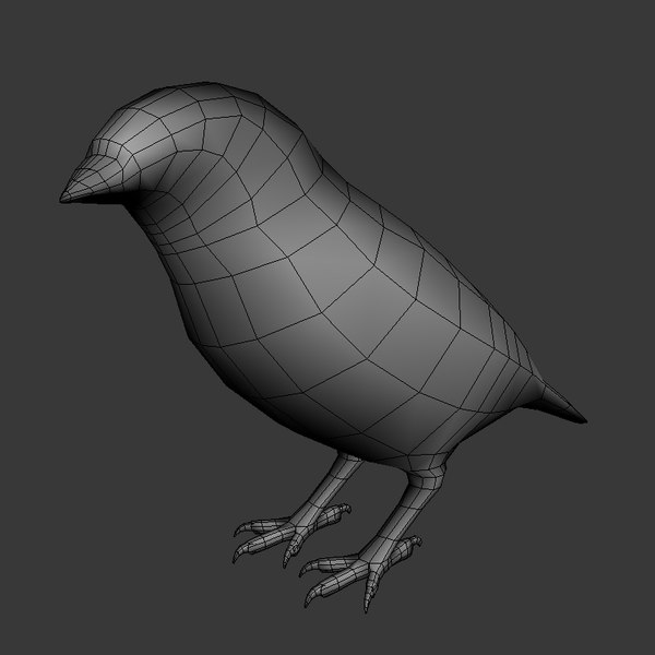 sparrow 3d model
