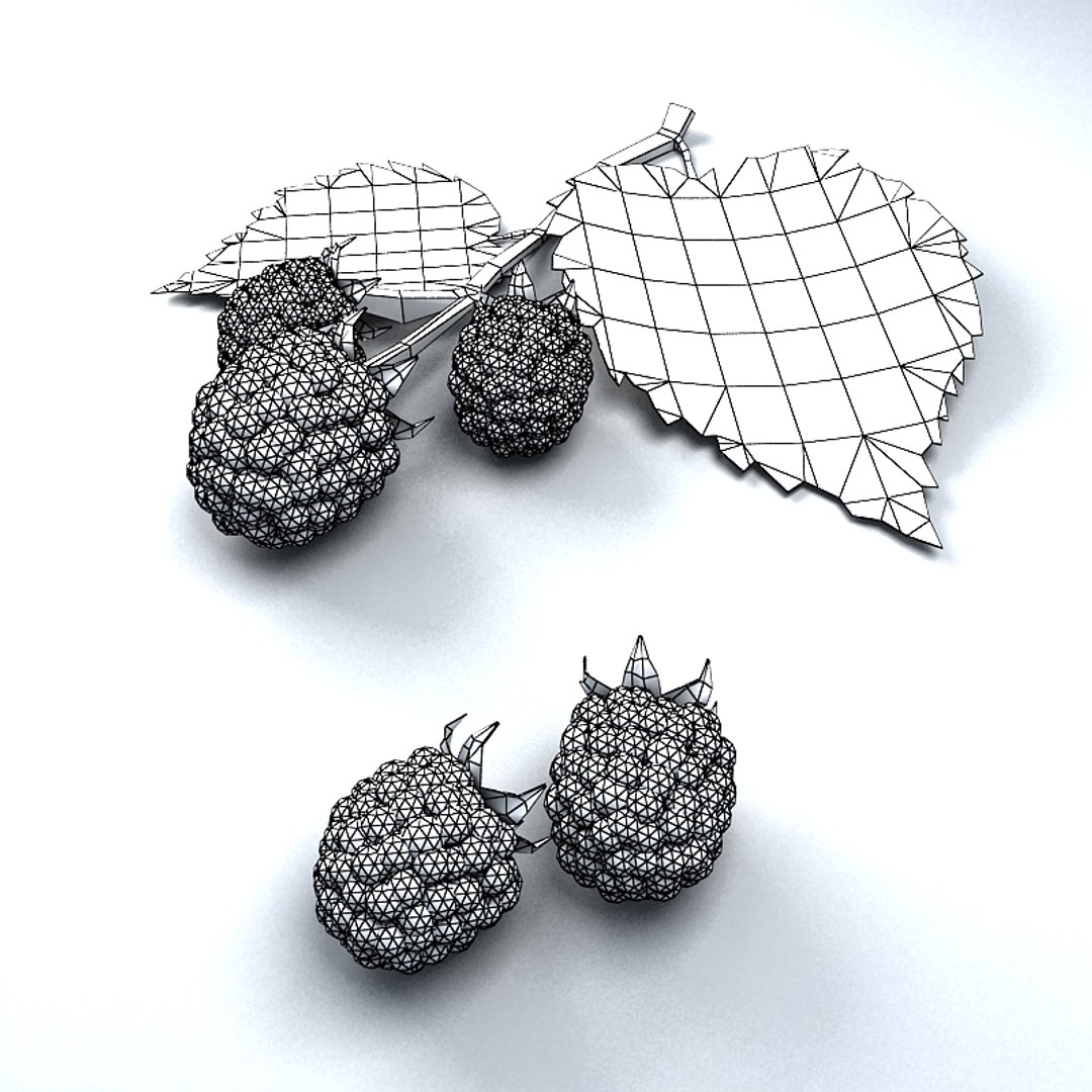Blackberry Berries Fruit 3d Model