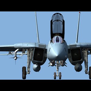Grumman F-14 Tomcat 3D Models for Download | TurboSquid