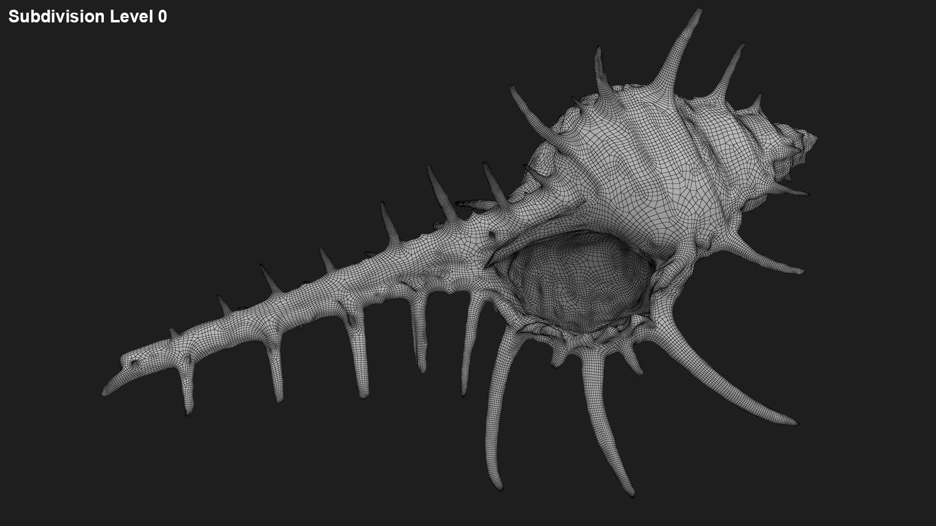 Murex Ternispina Pose 2 3D Model - TurboSquid 2375738