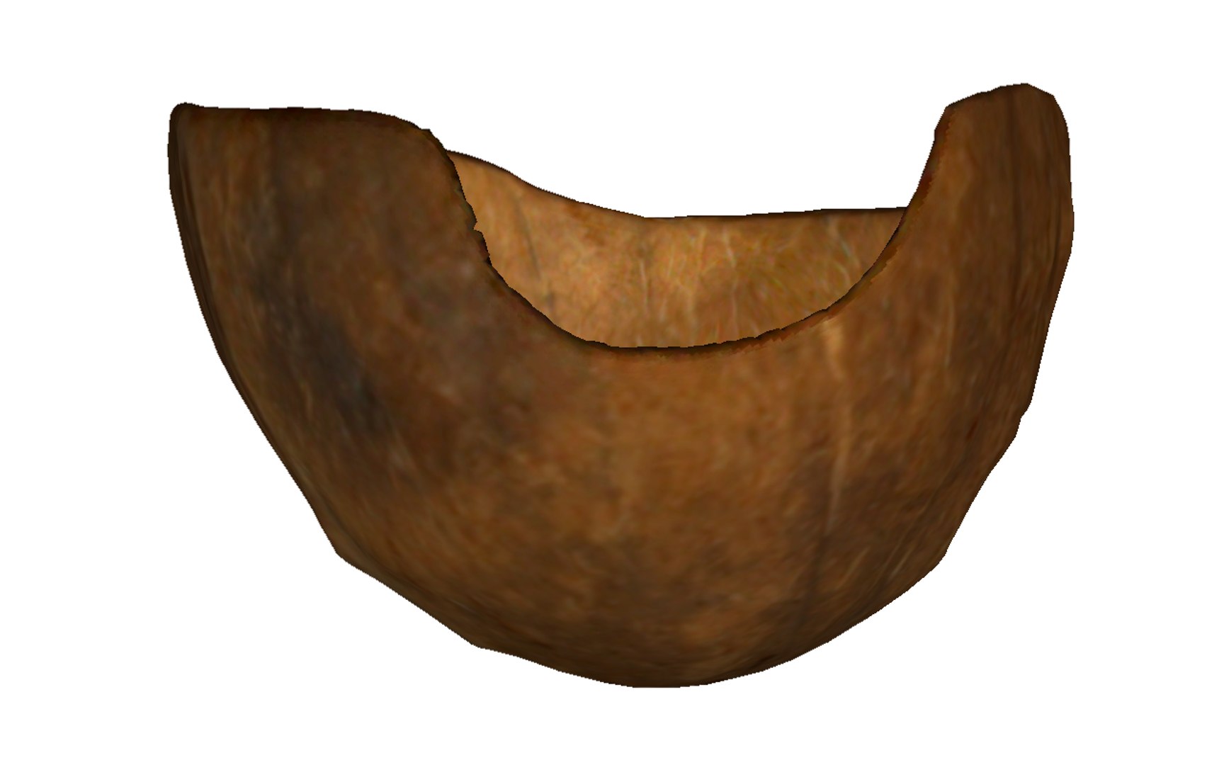 Coconut Shell 3D - TurboSquid 1627748